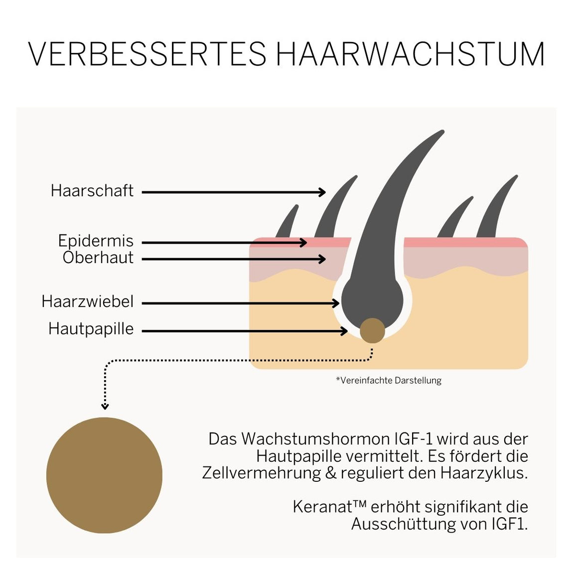 Ylumi Hairlicious Kapseln - Starke Haarwurzeln und gesünderes Haar 60 ...